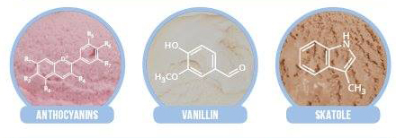 The Chemistry of Ice Cream - Asynt