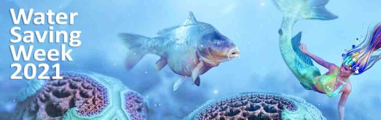 Water Saving Week 2021: let's get involved! - Asynt