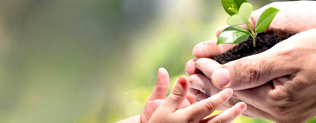 Gaia Science Pte Ltd - Asynt